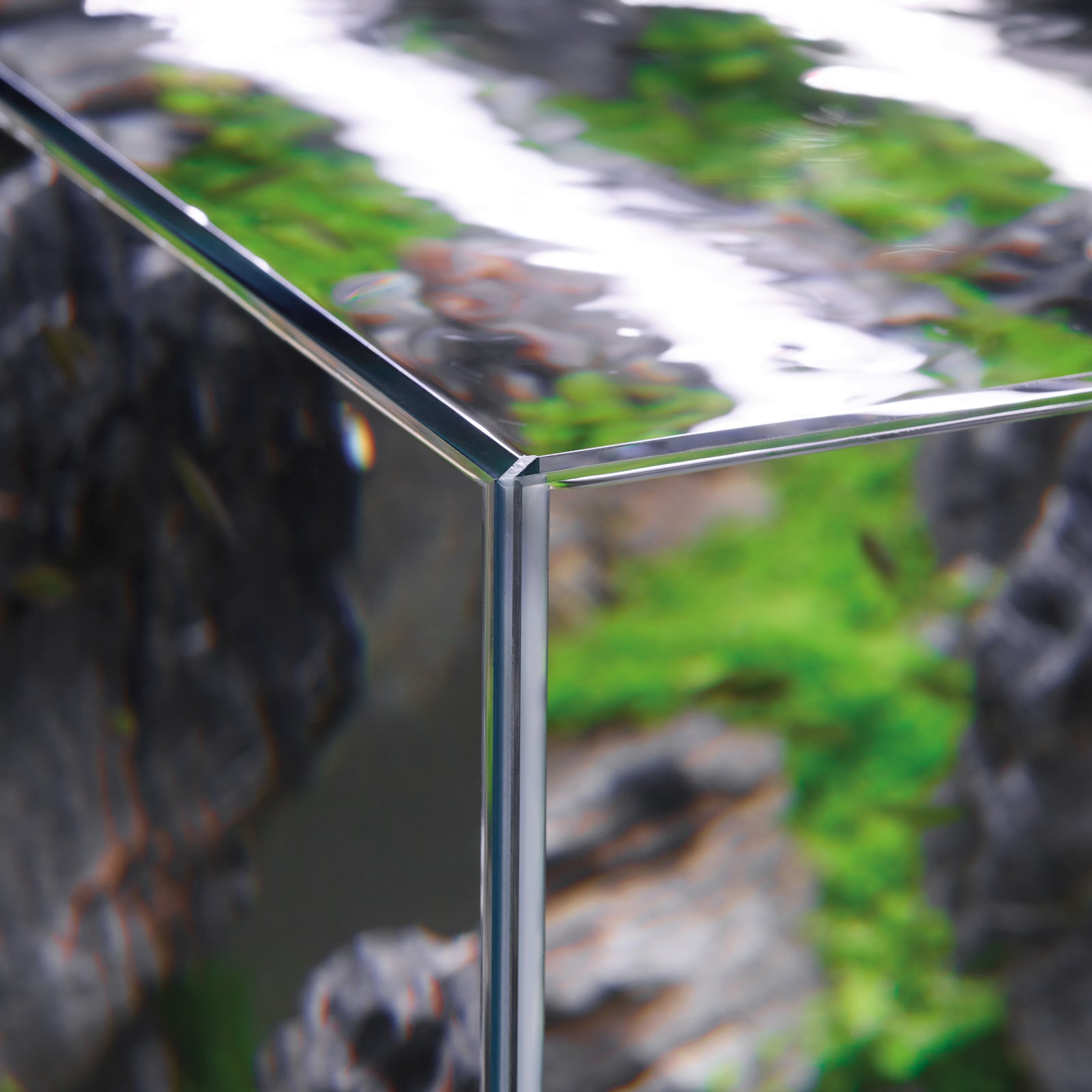 OASE Indoor Aquariums | Australia